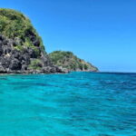 Apo Island Wonders: Snorkel with Sea Turtles in Dumaguete - The Value of This Tour