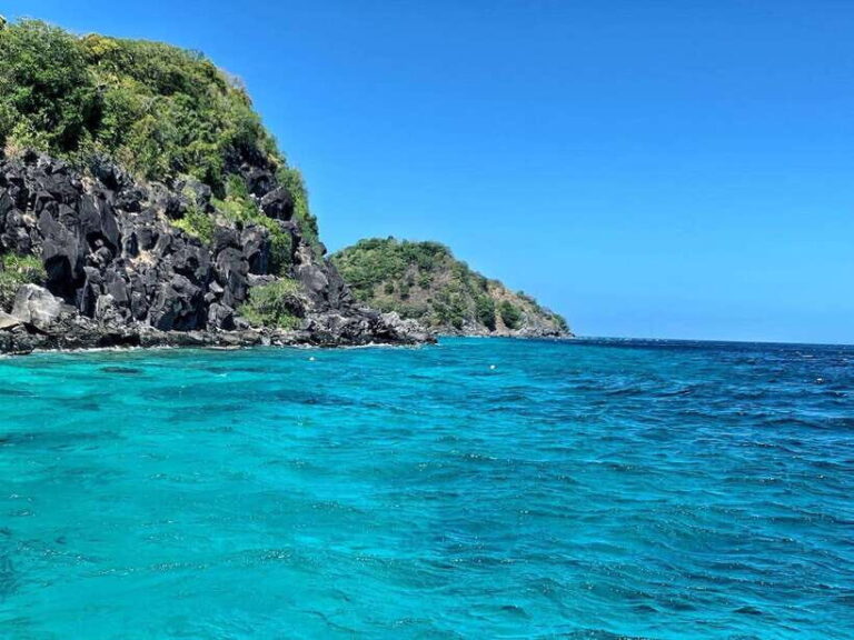 Apo Island Wonders: Snorkel with Sea Turtles in Dumaguete - The Value of This Tour