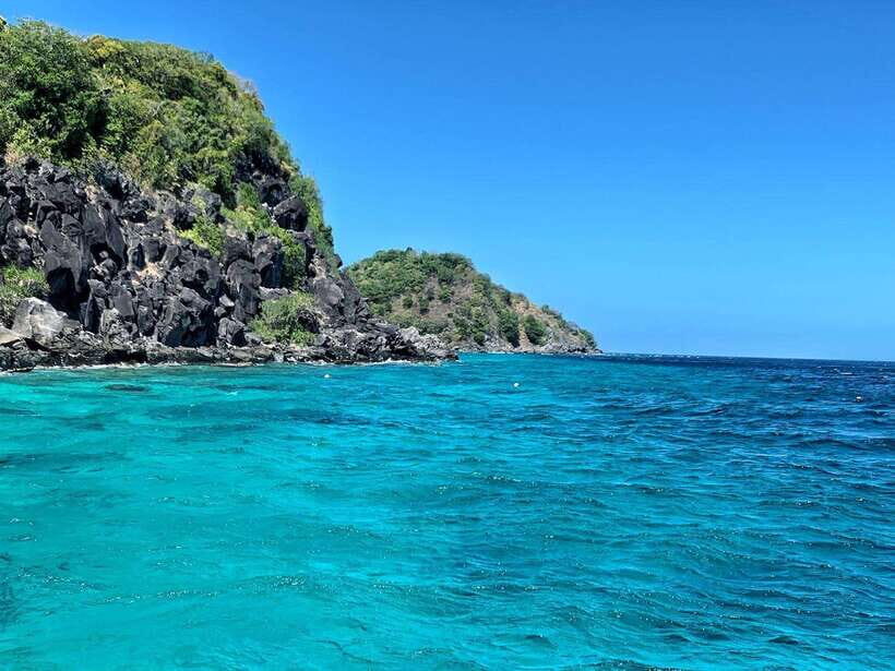 Apo Island Wonders: Snorkel with Sea Turtles in Dumaguete - The Value of This Tour