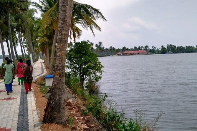 Aqua Tourism With Kerala Seafood Lunch - What Travelers Say and What to Expect
