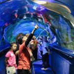 Aquaria KLCC E-Ticket With Transfer - The Sum Up