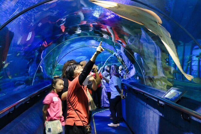 Aquaria KLCC E-Ticket With Transfer - The Sum Up