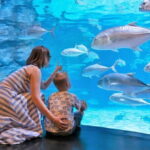 Aquaria Phuket and 4D Trickeye Museum Experience Ticket - Detailed Breakdown of the Itinerary