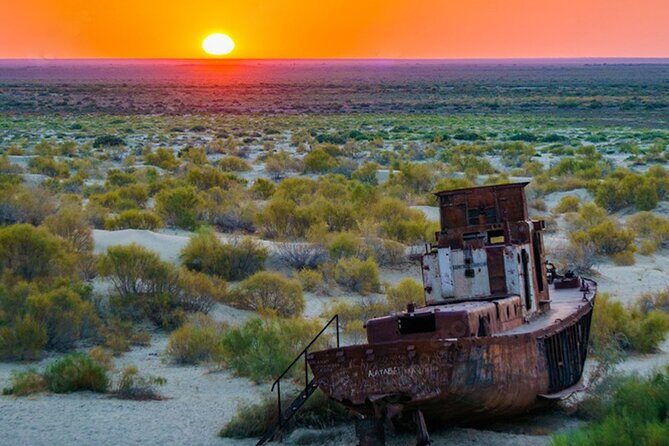 Aral Sea One Day Tour from Tashkent - Who Should Take This Tour?