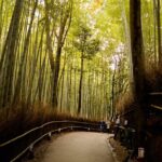 Arashiyama Bamboo Forest E-Biking Tour - Why Travelers Love This Tour