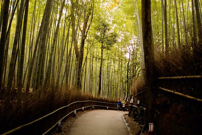 Arashiyama Bamboo Forest E-Biking Tour - Why Travelers Love This Tour