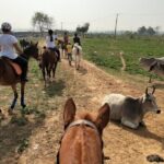 Aravali Trail Experience( Jungle Safari Forest area)- Horseback Riding - What Makes This Tour Stand Out?