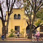 Architecture of Luis Barragan Walking Tour with Street Food - Authenticity and Local Flavor