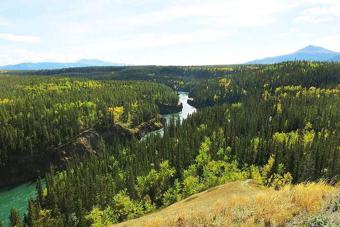 Arctic Day: Hiking Tour | half day - Authentic Experiences and Authentic Guides