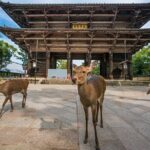 Arima Onsen, Tdai-ji, Kobe Sanda Outlets & Nara Park fr Osaka - Transportation and Practical Considerations