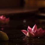 Aromatherapy Massage (Natural Oil Massage Full Body) 60minutes - Final Thoughts: Who Should Book This?