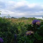 Around Bromo Farming Experience - What is the Around Bromo Farming Experience?