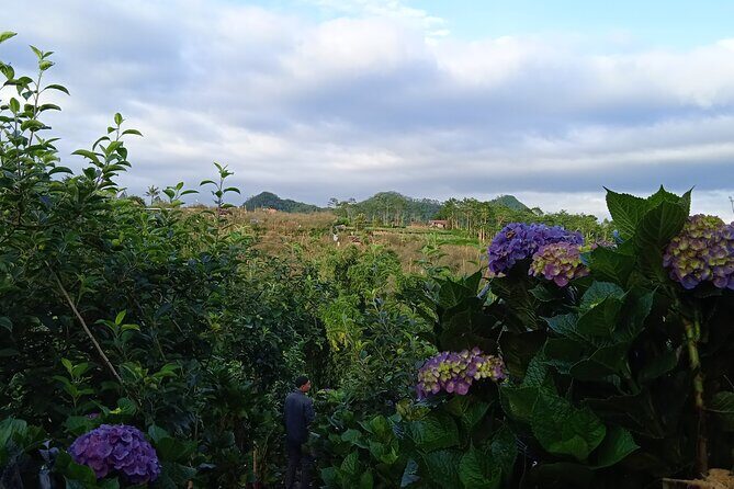 Around Bromo Farming Experience - What is the Around Bromo Farming Experience?