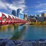 Arrival Transfer: Calgary Airport YYC to Calgary by Business Car - Who Should Choose This Service?