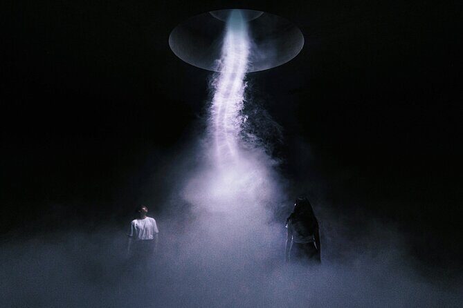 ARTE MUSEUM Immersive Media Art Exhibition in NYC - Who Will Love This Tour?