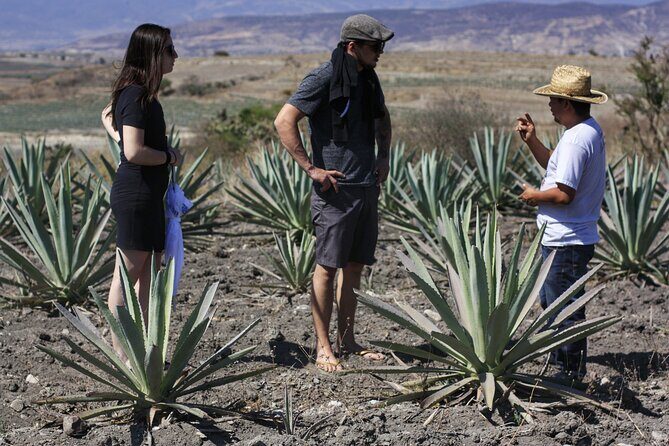 Artisanal Mezcal distillery in an authentic Zapotec village - Lunch and the Flavorful Finish
