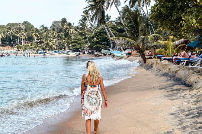 Arugam Bay Hotels To Airport Transfer (CMB)-Departure - Breakdown of the Itinerary