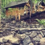 Asahiyama Zoo, Blue Pond, Shirahige Falls, Ningle Terrace (from Sapporo) - Final Thoughts: Is This Tour Worth It?