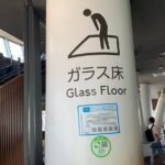 Asakusa: TOKYO SKYTREE exploration after history tour - What Makes This Tour Special?