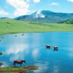 Aso Vocano, Grassland,Onsen and Aso shrine 1-Day Tour - Aso Volcano: Earth’s Hot Ticket