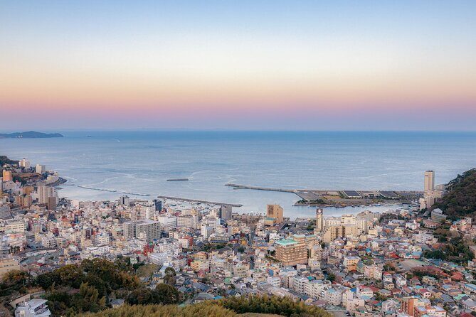 Atami Half-Day Private Tour with Government-Licensed Guide - The Practical Side: What Travelers Should Expect