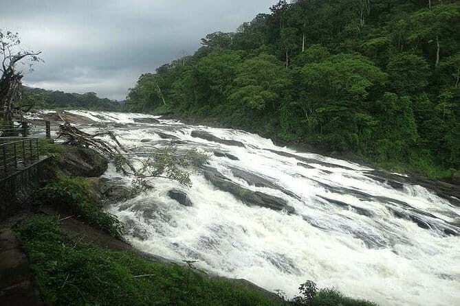 Athirapilly and Vazhachal Falls from Kochi - The Sum Up