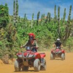 ATV Adventure from Cabo San Lucas - How the Tour Was Received: Authentic Feedback