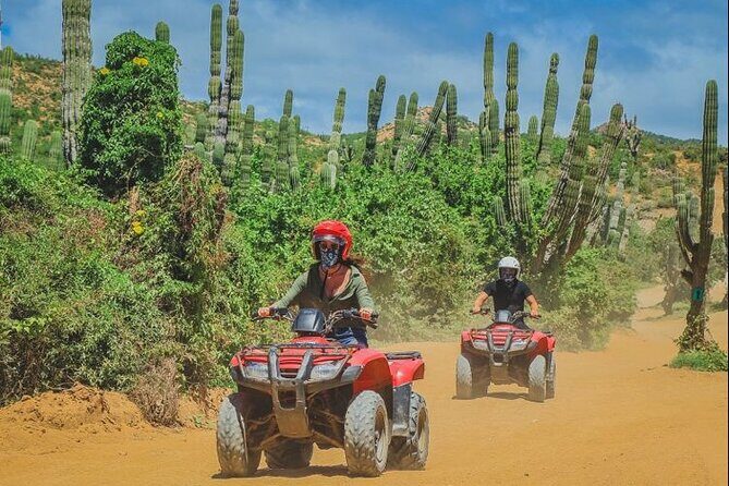 ATV Adventure from Cabo San Lucas - How the Tour Was Received: Authentic Feedback