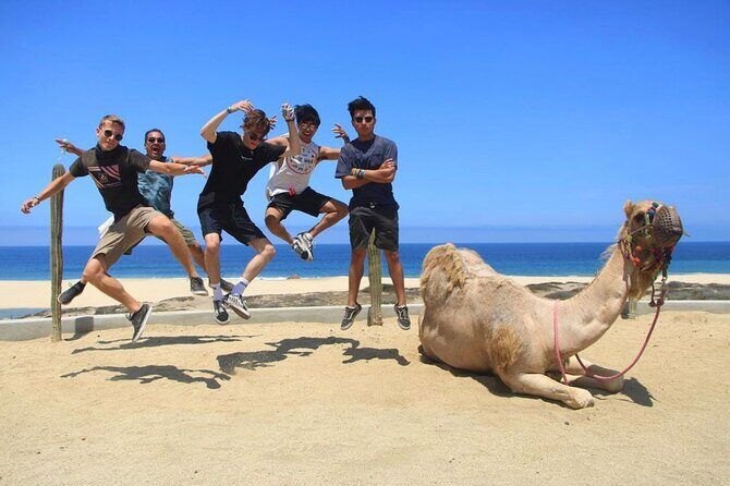 ATV and Camel Ride COMBO Adventure - Exploring the Itinerary: What to Expect