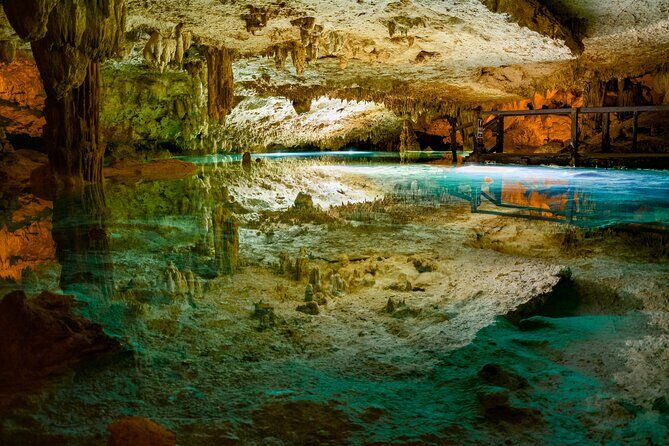 ATV Express Riviera Maya - An In-Depth Look at ATV Express Riviera Maya