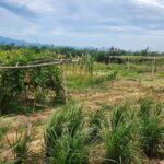 ATV Quad Bike Hoi An Adventure - Frequently Asked Questions