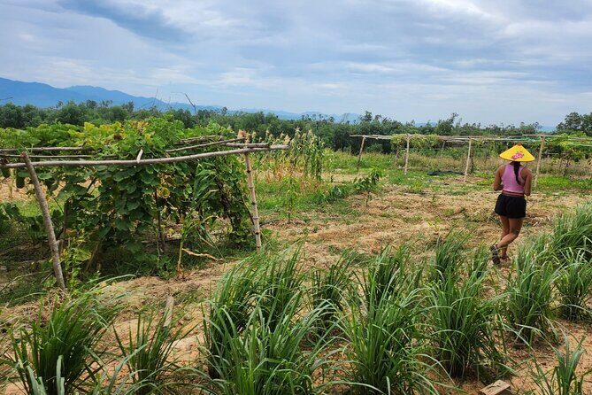 ATV Quad Bike Hoi An Adventure - Frequently Asked Questions
