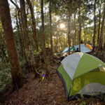 Aura Montoria and Waterfall Jungle Camping: 3-Day - The Value of the Experience