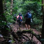 Aural Mountain Trek: Cambodia Tallest Peak Challenge - Analyzing the Value