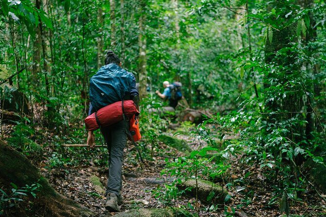 Aural Mountain Trek: Cambodia Tallest Peak Challenge - How the Itinerary Shapes Your Experience