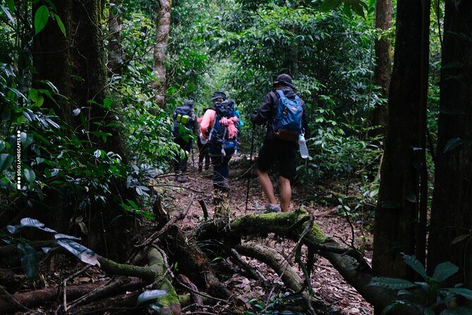 Aural Mountain Trek: Cambodia Tallest Peak Challenge - Analyzing the Value