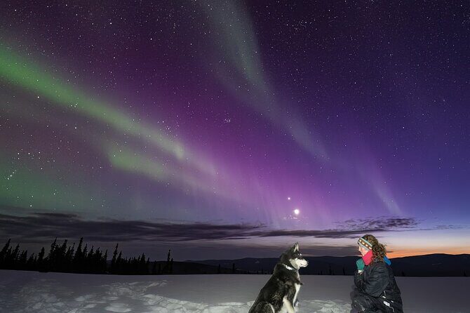 Aurora Activity at Sluice Box Sled Dogs - Who Will Love This Tour?