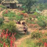 Authentic Chiang Mai Lifestyle Guided Tour - Authenticity and Guide Experience