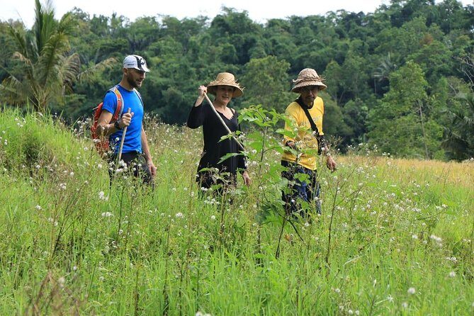 Authentic hike in the forest with lunch at the inhabitant - How the Tour Fits into Your Bali Itinerary
