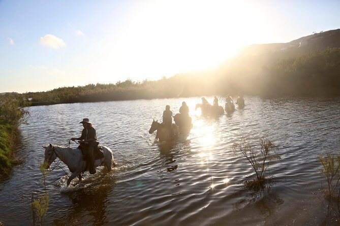Authentic horseback riding in beautiful La Mision - Authenticity and Experience