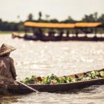 Authentic Mekong Delta Private Daily Tour From Ho Chi Minh City - Stop 3: Thoi Son Island – Fruits and Local Life
