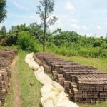 Authentic 'Non-Touristy' Mekong Delta Ben Tre 1 Day Private Tour - Who Will Love This Tour?