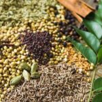 Authentic Srilankan Home Cooking Near Airport - Analyzing the Value