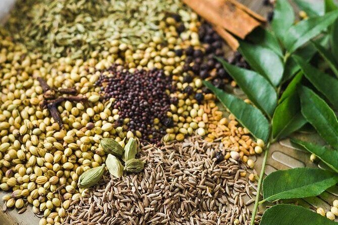 Authentic Srilankan Home Cooking Near Airport - Analyzing the Value