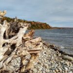 Autumn in Acadia National Park Private Leaf Peeper Driving Tour - FAQs