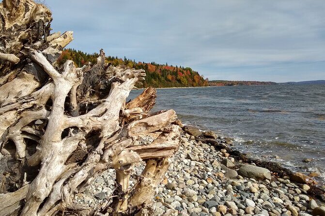 Autumn in Acadia National Park Private Leaf Peeper Driving Tour - FAQs