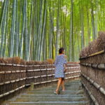 Avoid the Crowds at the Hidden Gems of Arashiyama in Kyoto - The Experience and Its Value