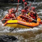 Ayung River Rafting in Ubud including Buffet Lunch - Detailed Look at the Experience