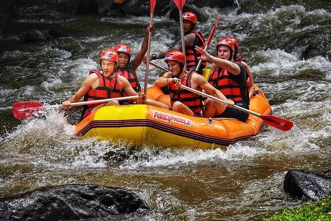 Ayung River Rafting in Ubud including Buffet Lunch - Detailed Look at the Experience