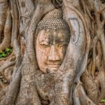 Ayutthaya Sunset Boat Ride & Famous Attraction From Bangkok - Detailed Review: What Makes This Tour Stand Out